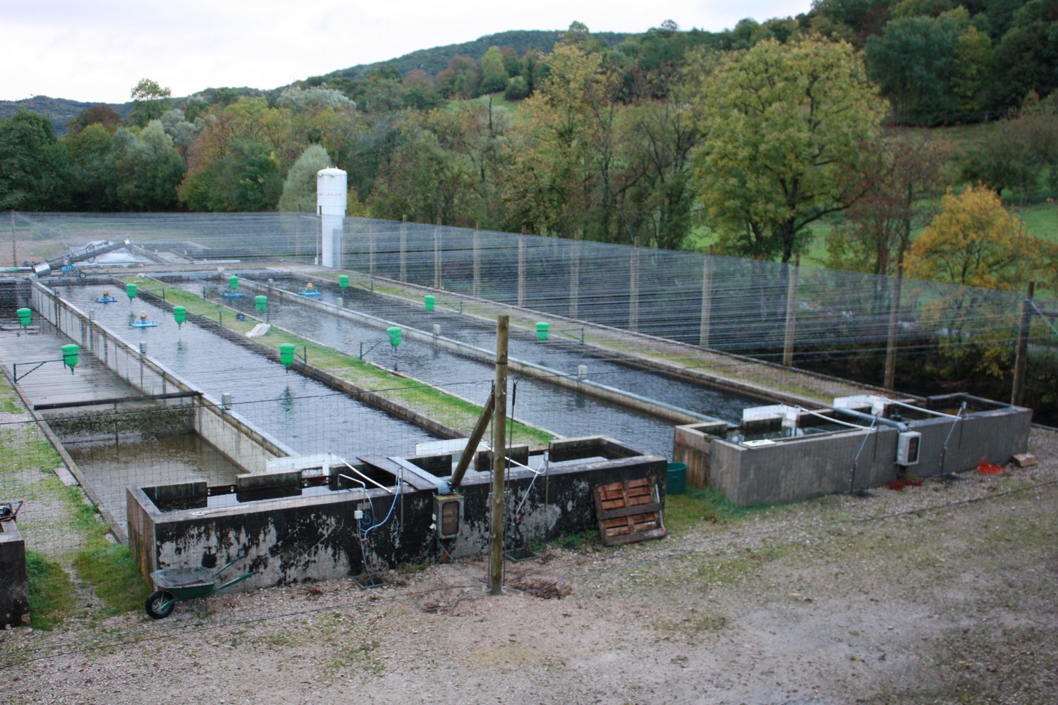 Protection pisciculture Saint-Etienne - Sarl Chalancon